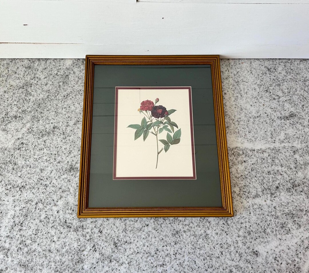 Vintage Framed Rose Print W/ Gold Frame, Shabby Style, Cottagecore ...