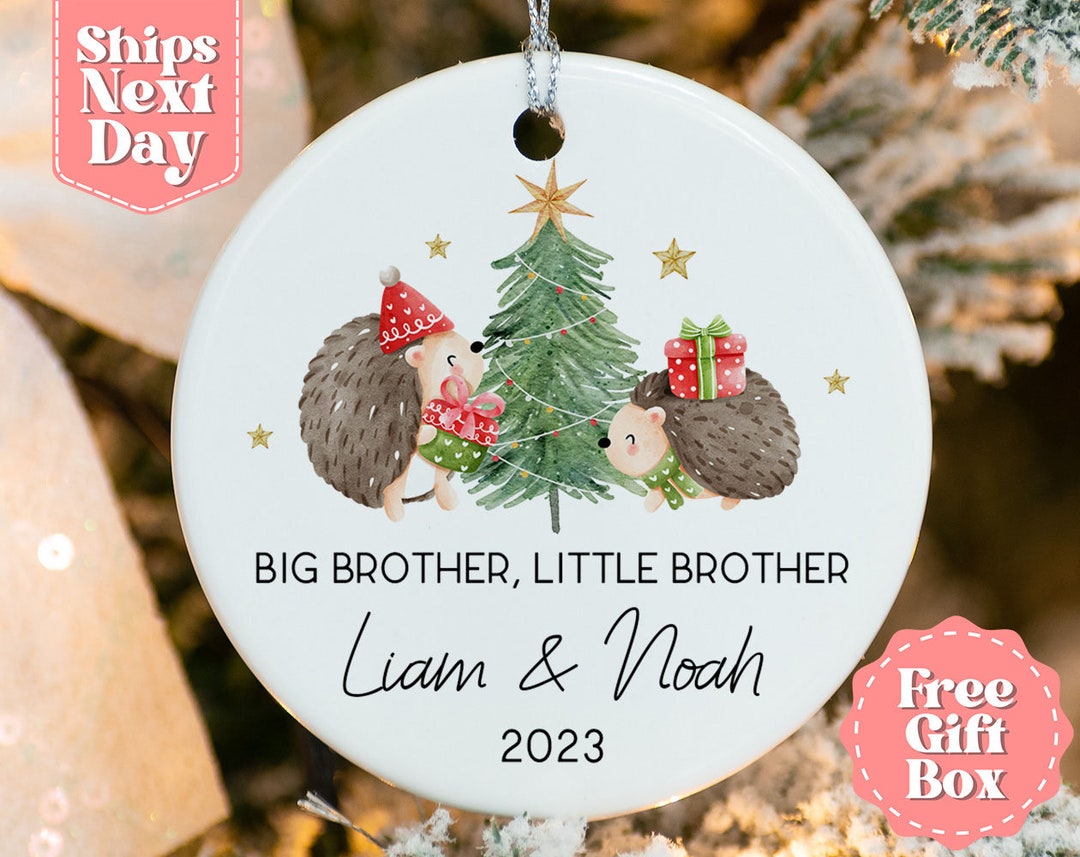 Big Brother, Little Brother Christmas Hedgehogs Name Ornament ...
