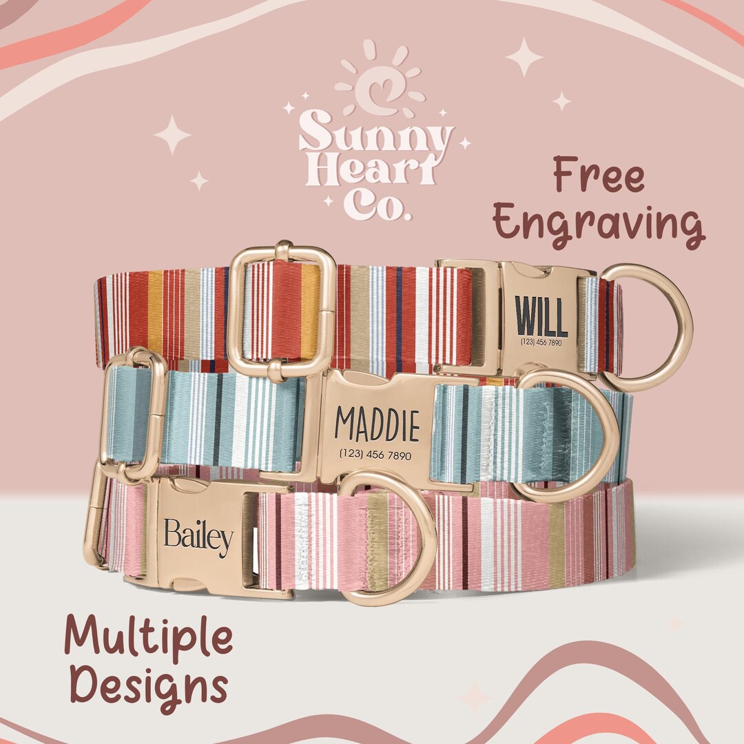 Personalized Dog Collar, Custom Pet Collar With Name Tag, Adjustable ...