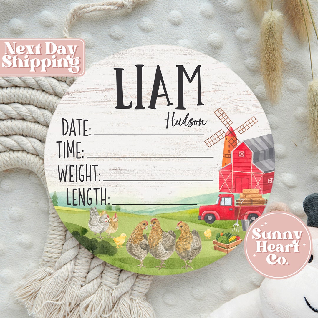 Chicken Baby Birth Stat Sign Farm Newborn Baby Boy Announcement Sign ...