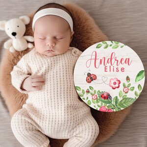 Personalized Lady Bug Baby Girl Name Round Wood Sign Lady Bugtheme ...