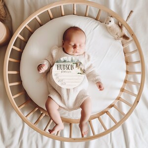 Mallard Ducks Baby Birth Announcement Stat Sign Newborn Mallard Ducks ...