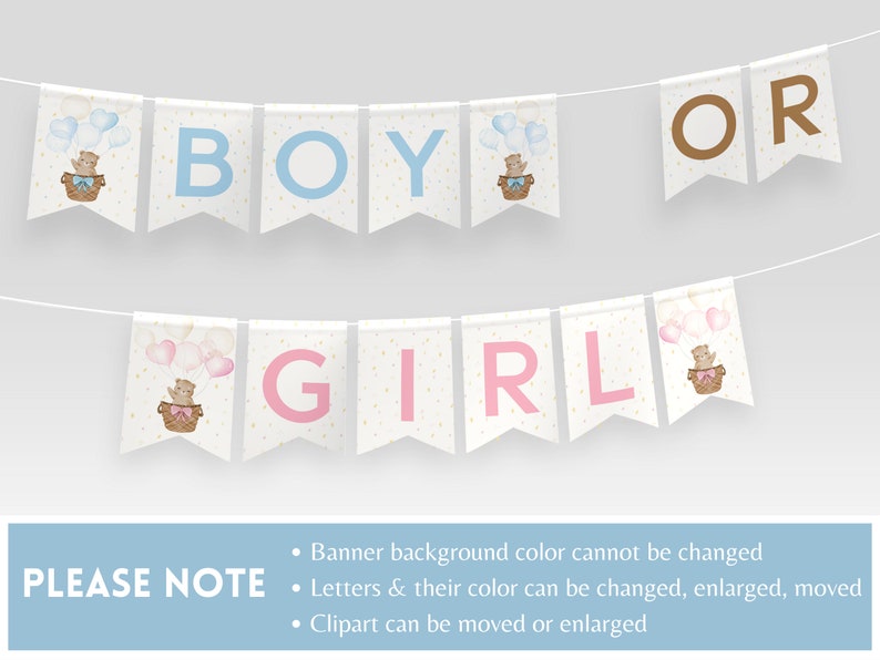 Teddy Bear Banner. Gender Reveal Decor. Boy OR Girl Banner - Etsy