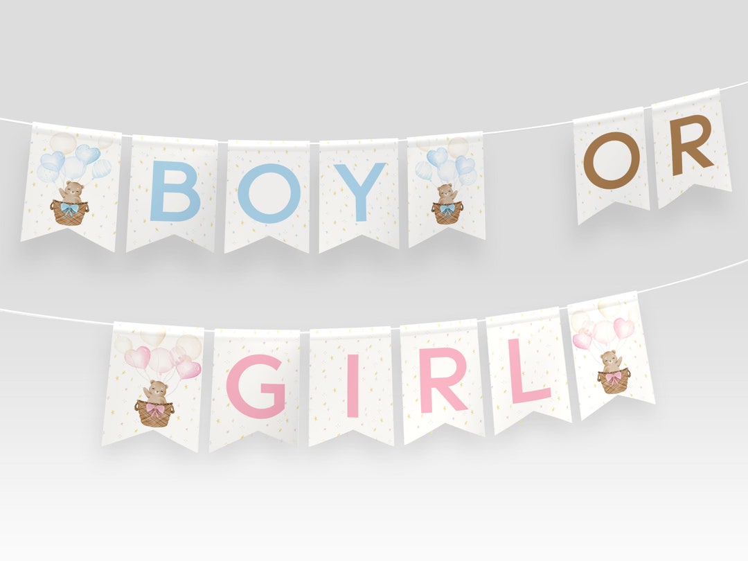 Teddy Bear Banner. Gender Reveal Decor. Boy OR Girl Banner Ideas ...