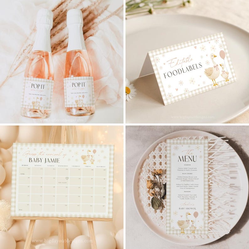 Silly Goose Baby Shower Bundle. Gender Neutral Gingham Mother Goose ...