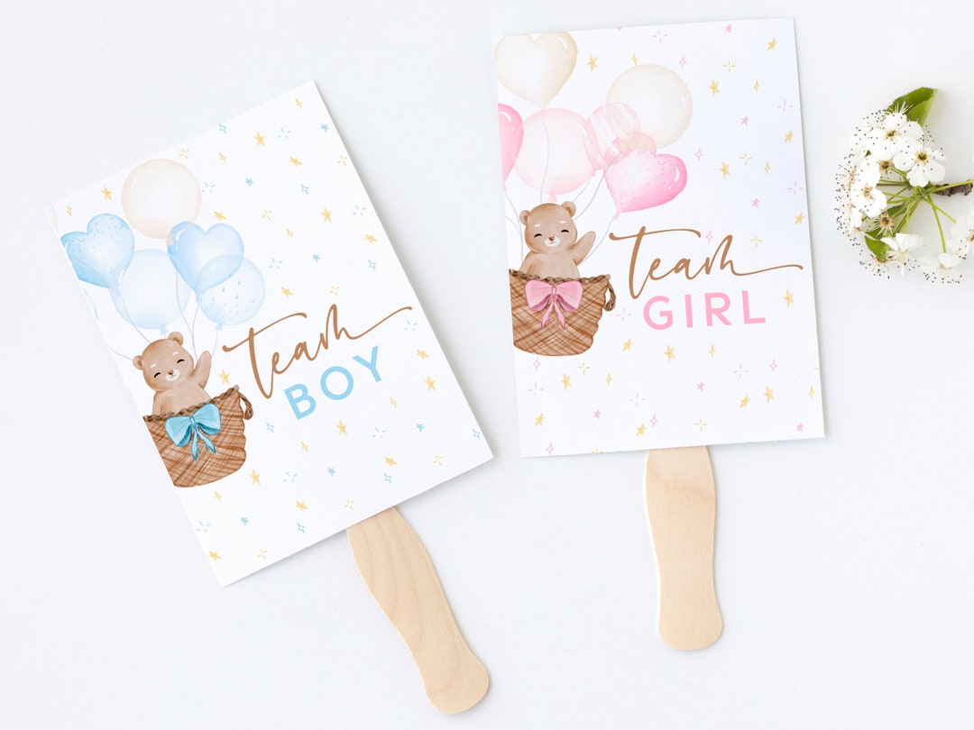 Gender Reveal Ideas. Teddy Bear Program Fan. Team Boy Team Girl, Pick a ...