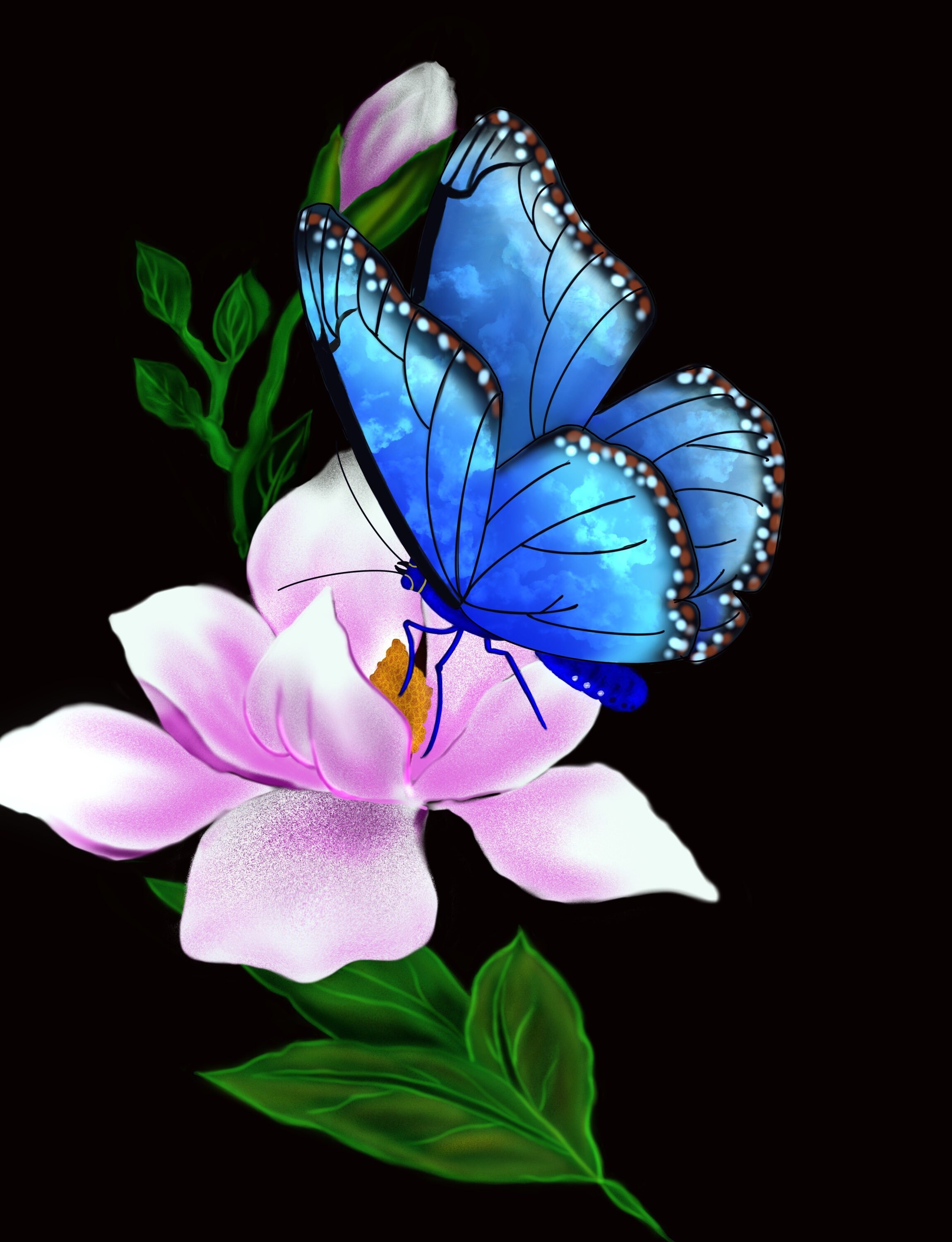 Blue Butterfly - Etsy