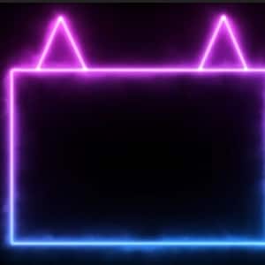 Neon Cat ANIMATED Twitch Facecam Overlay | Streamer OBS Designs ...