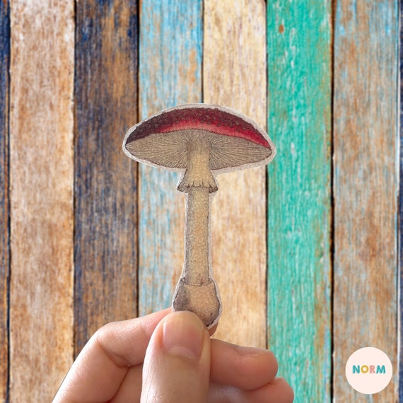 RED MUSHROOM Texture Calm Sticker Sensory Self-care Adhesive - Etsy