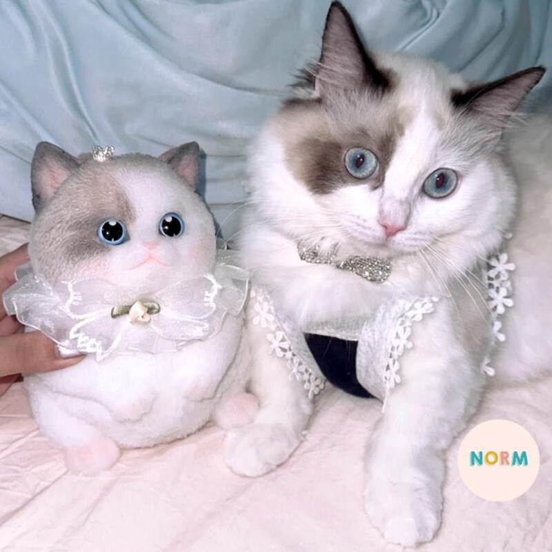 Realistic Cat Squishy - Etsy