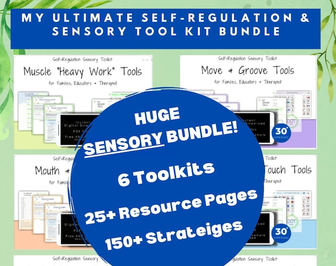 Tools for Self-regulation, Zones of Regulation, Sensory Diet, SPD Tools ...
