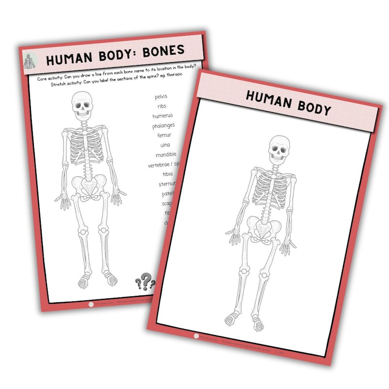 Interoception & 8 Senses Worksheets, Body Awareness, Sensory Processing ...