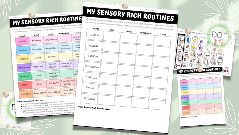 Sensory Rich Routine Plans & Visuals, Sensory Processing, Orientation ...