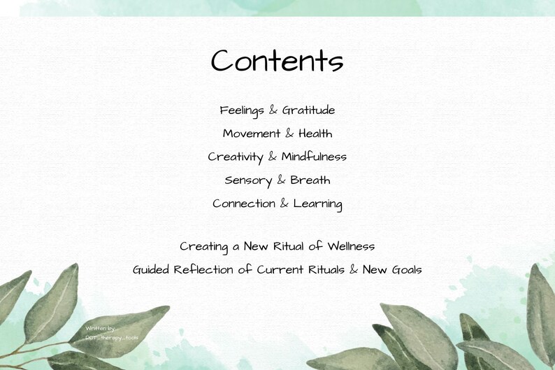 Professional Wellness Book, Rituals, Reflection, Gratitude, Mindfulness ...