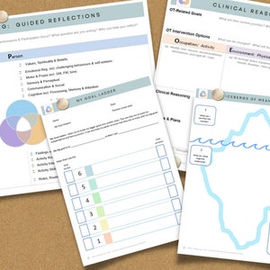 Guided Professional Reflection, Clinical Reasoning & Reflection, PEO ...
