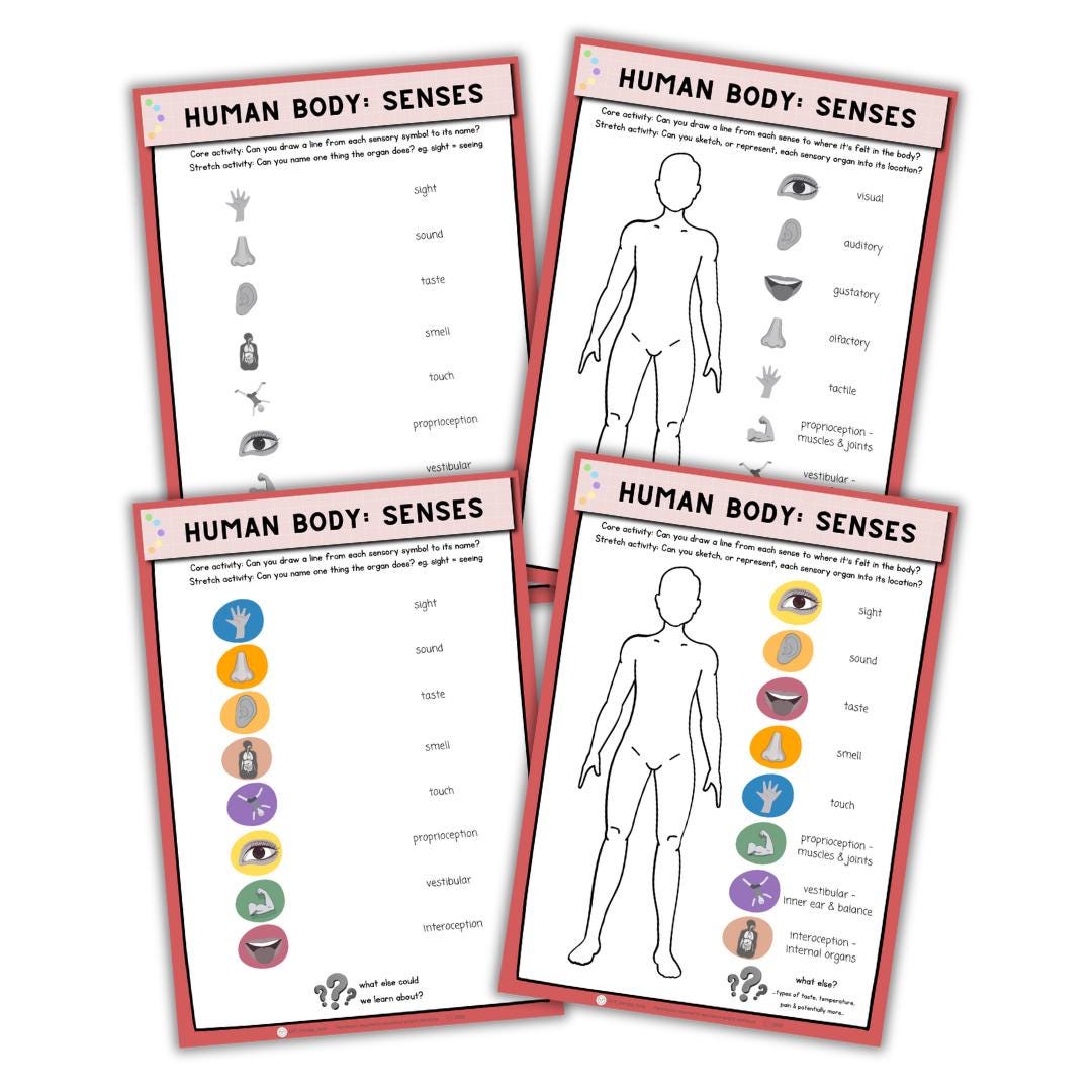 Interoception & 8 Senses Worksheets, Body Awareness, Sensory Processing ...