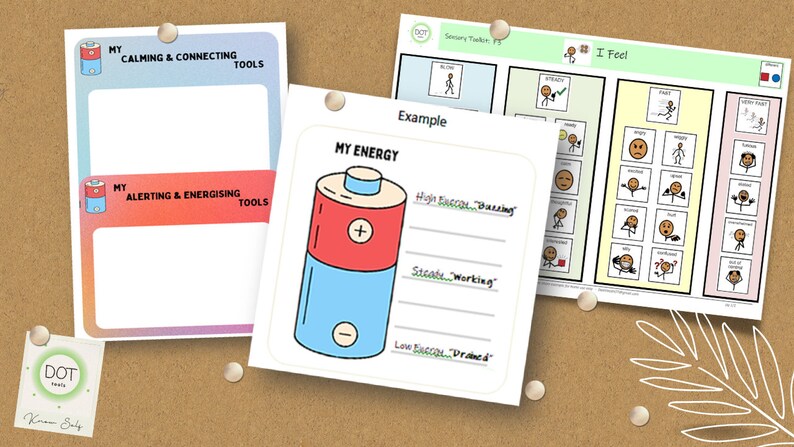 Self Regulation, Resource, Sensory, Battery, Activation, Paeds, OT ...