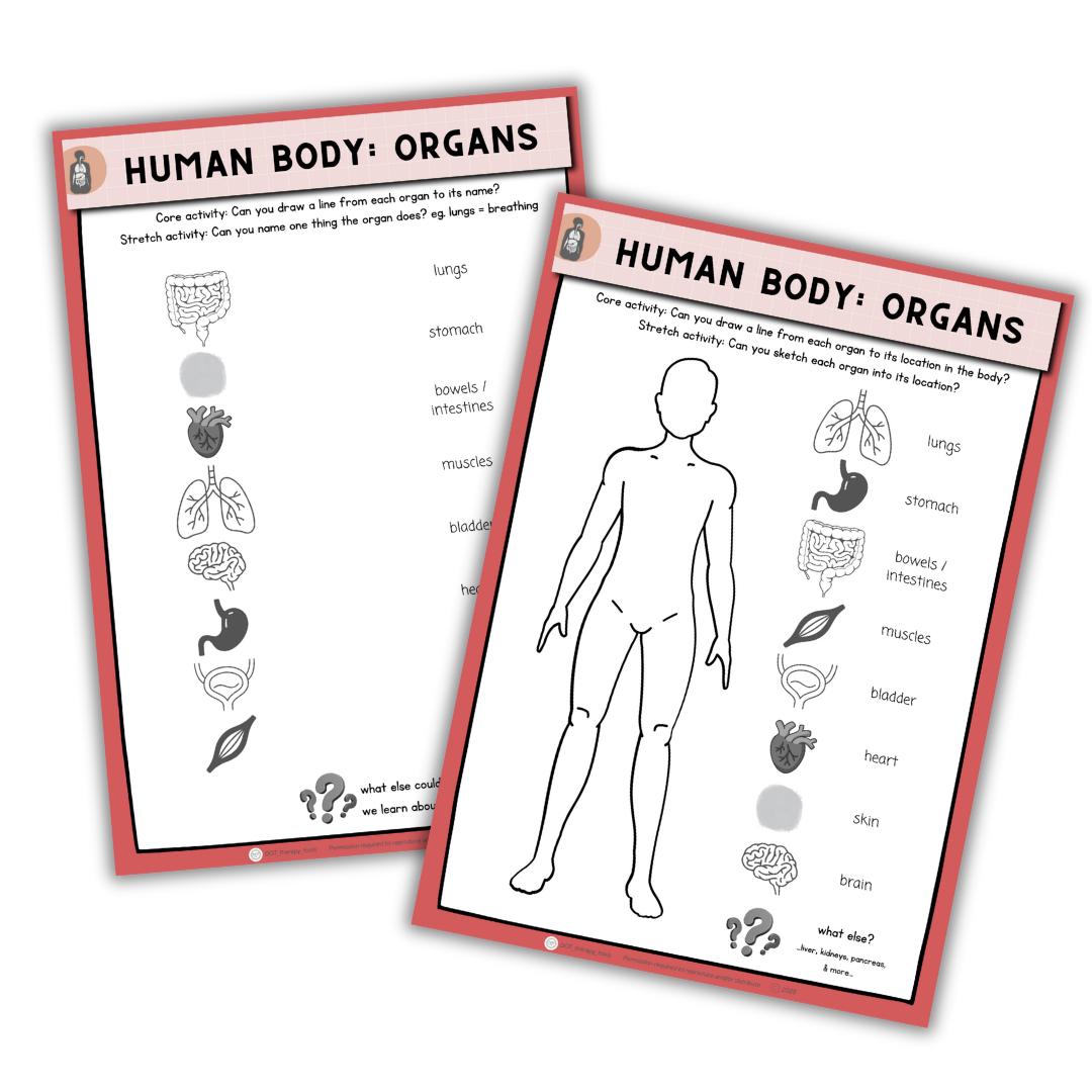 NEW 8 Senses & Interoception Worksheets, Sensory Processing, Body ...