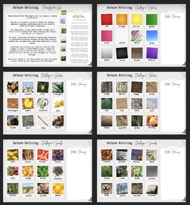 Nature Noticing Sensory Challenges, Mindfulness, Self-regulation ...