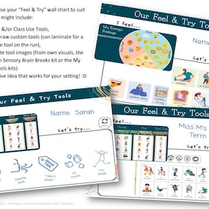 Self-regulation Group Visuals Toolkit: Nature, Sensory Tools, Feelings ...