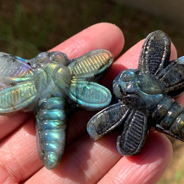 Crystal Dragonfly - Etsy