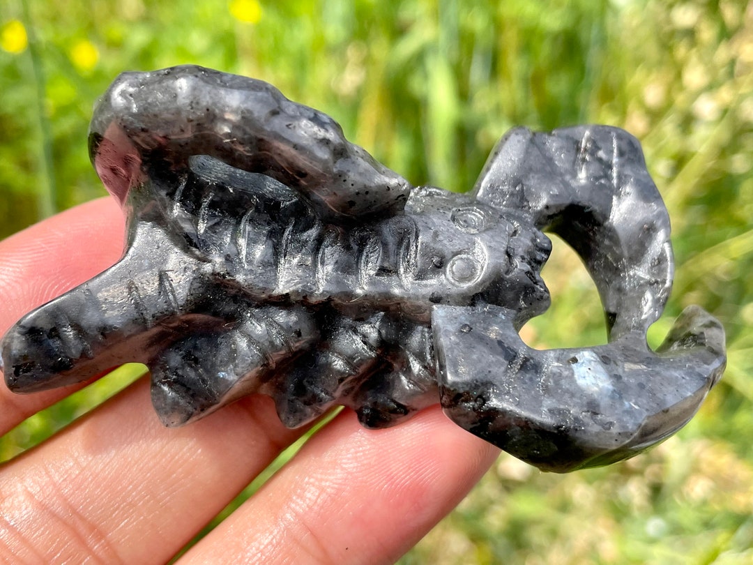 2.7 Hand Carved Scorpion,crystal Skull,natural Flash Stone Scorpion ...