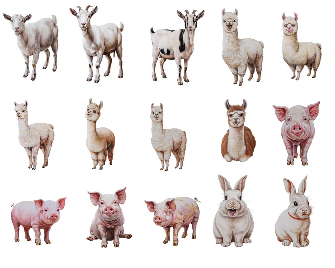 Farm Animal Clipart | 100 X Realistic Farm Animals Bundle | Digital ...