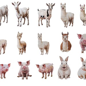 Farm Animal Clipart | 100 X Realistic Farm Animals Bundle | Digital ...