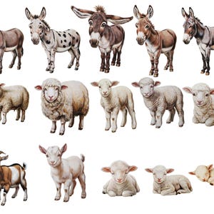 Farm Animal Clipart | 100 X Realistic Farm Animals Bundle | Digital ...
