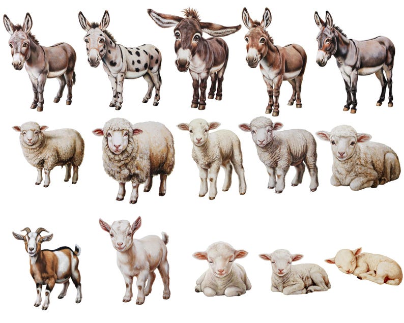 Farm Animal Clipart | 100 X Realistic Farm Animals Bundle | Digital ...