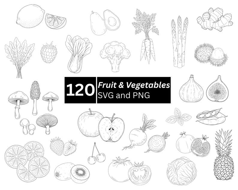 120 Fruit & Vegetable SVG PNG Bundle Illustrations | Tropical Fruits ...