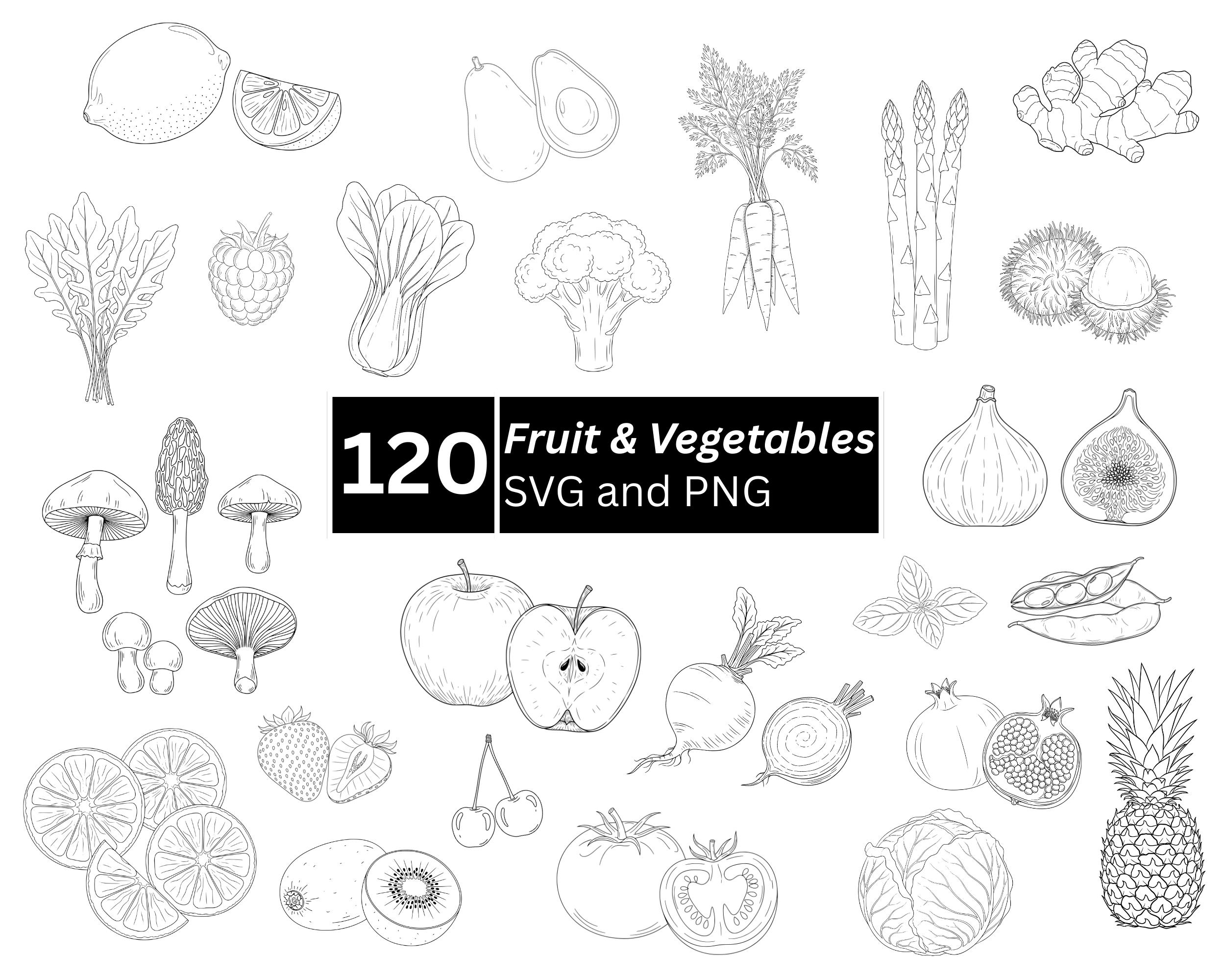 120 Fruit & Vegetable SVG PNG Bundle Illustrations | Tropical Fruits ...