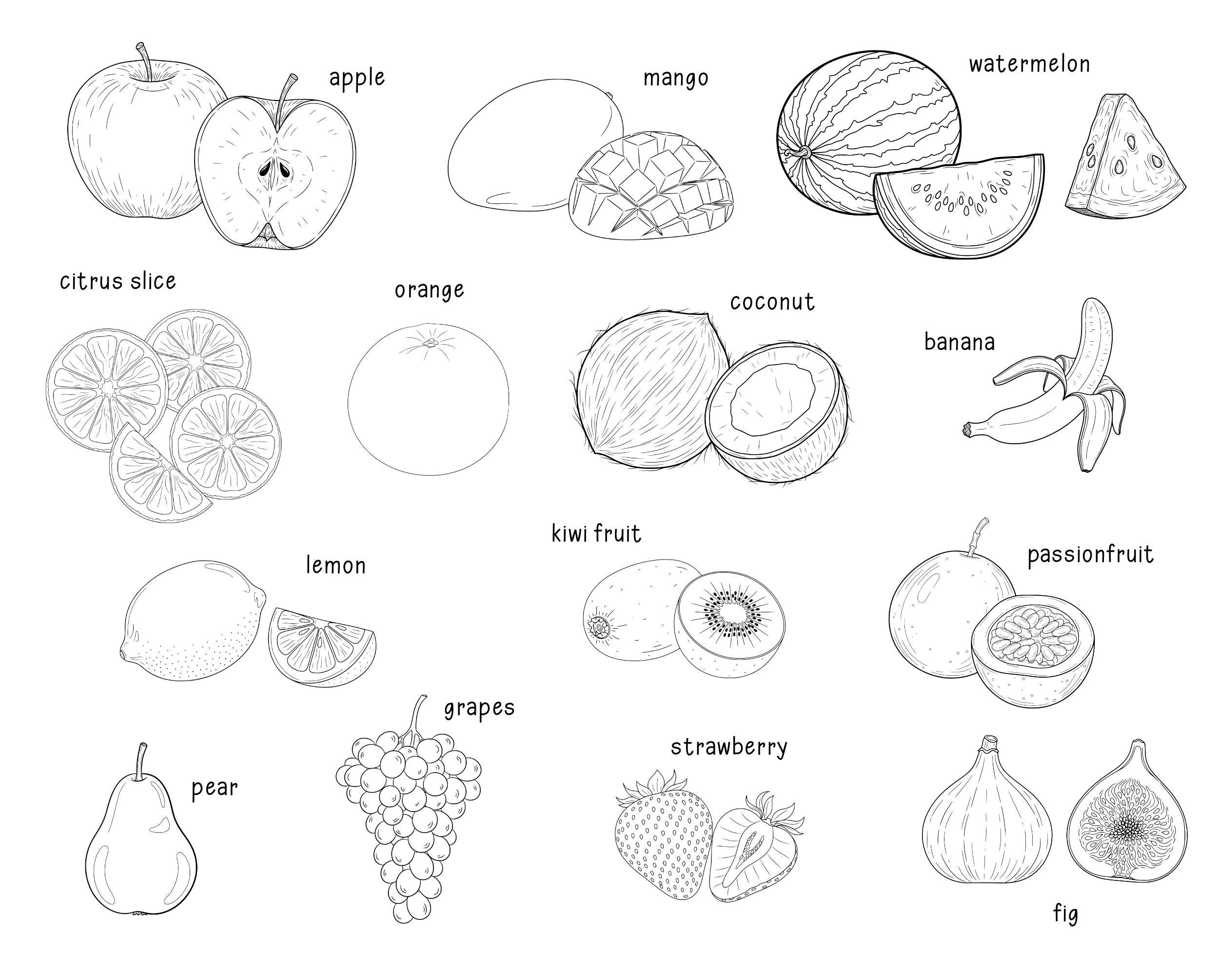 120 Fruit & Vegetable SVG PNG Bundle Illustrations | Tropical Fruits ...