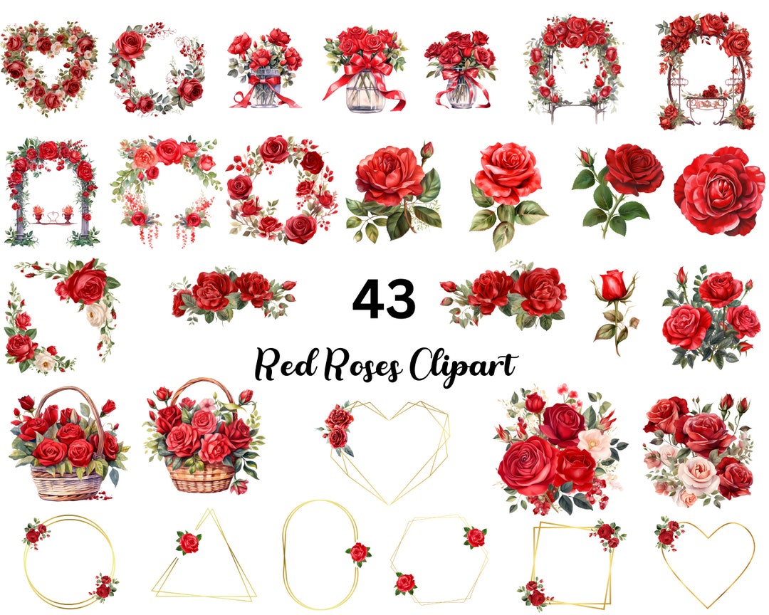 Red Roses Clipart Transparent Png - Mega Bundle 43 Designs - Instant ...