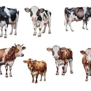 Farm Animal Clipart | 100 X Realistic Farm Animals Bundle | Digital ...
