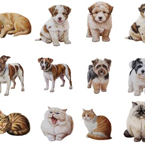 Farm Animal Clipart | 100 X Realistic Farm Animals Bundle | Digital ...