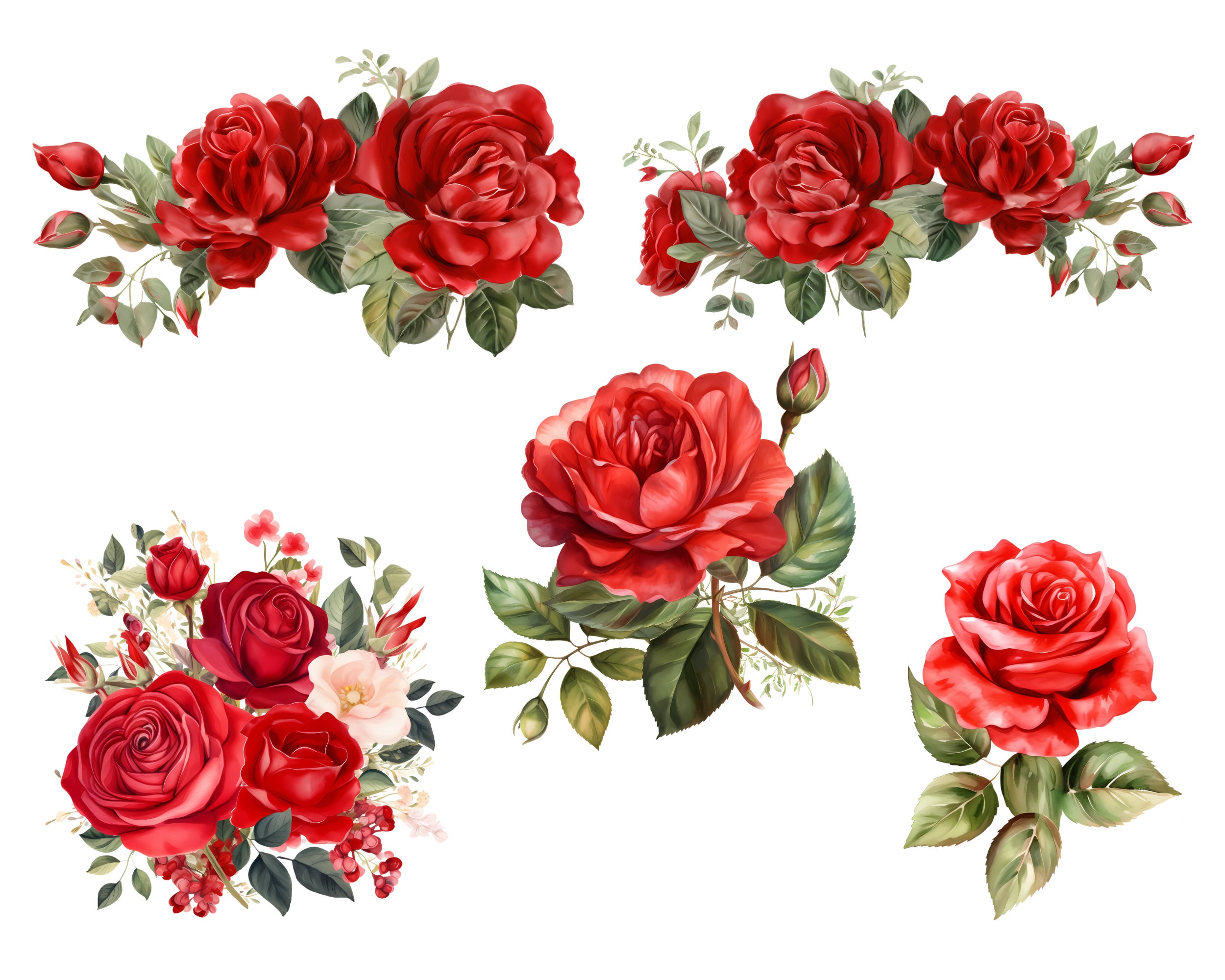 Red Roses Clipart Transparent Png - Mega Bundle 43 Designs - Instant ...