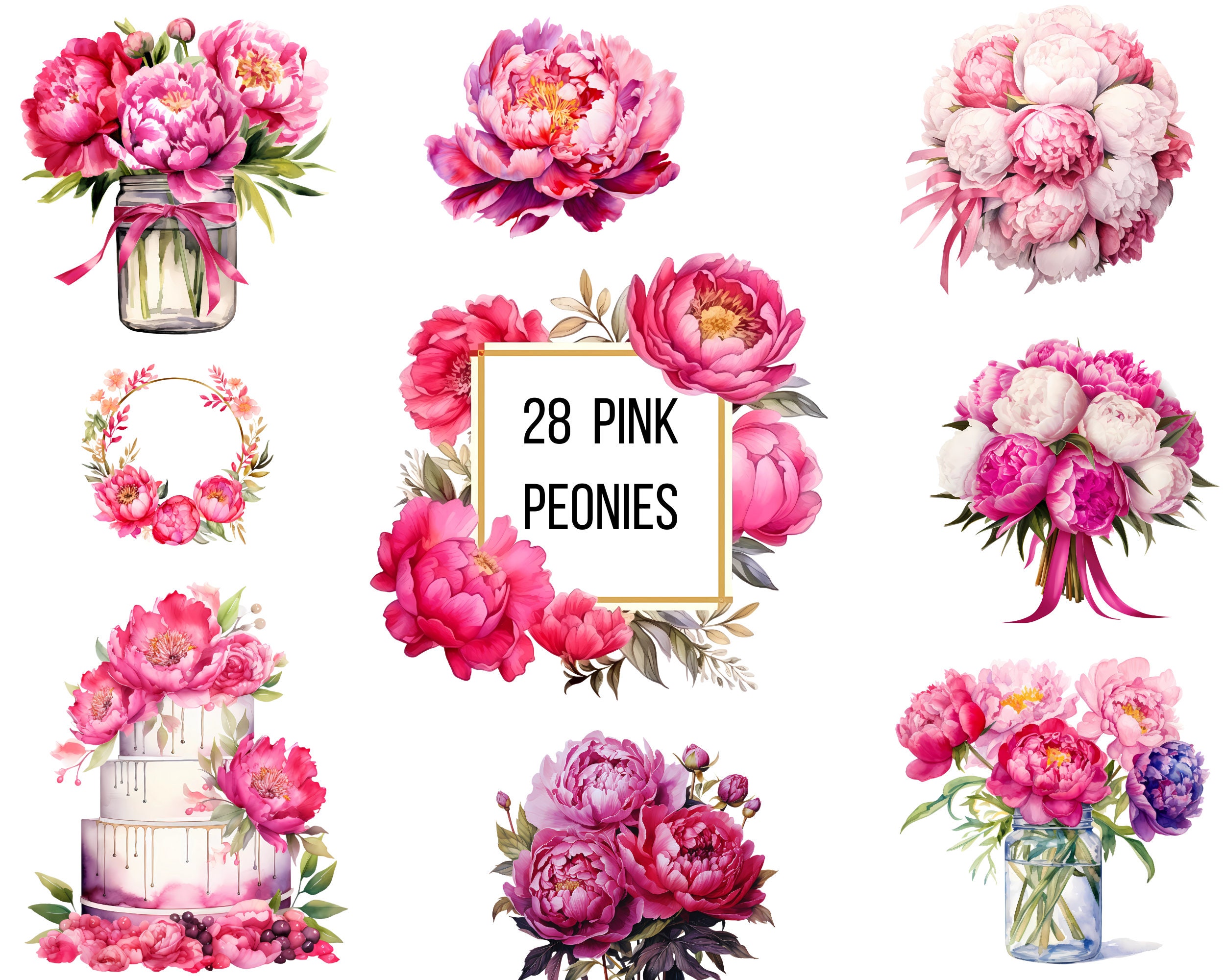 Pink Peonies Clipart Transparent Png 28 Designs Instant - Etsy