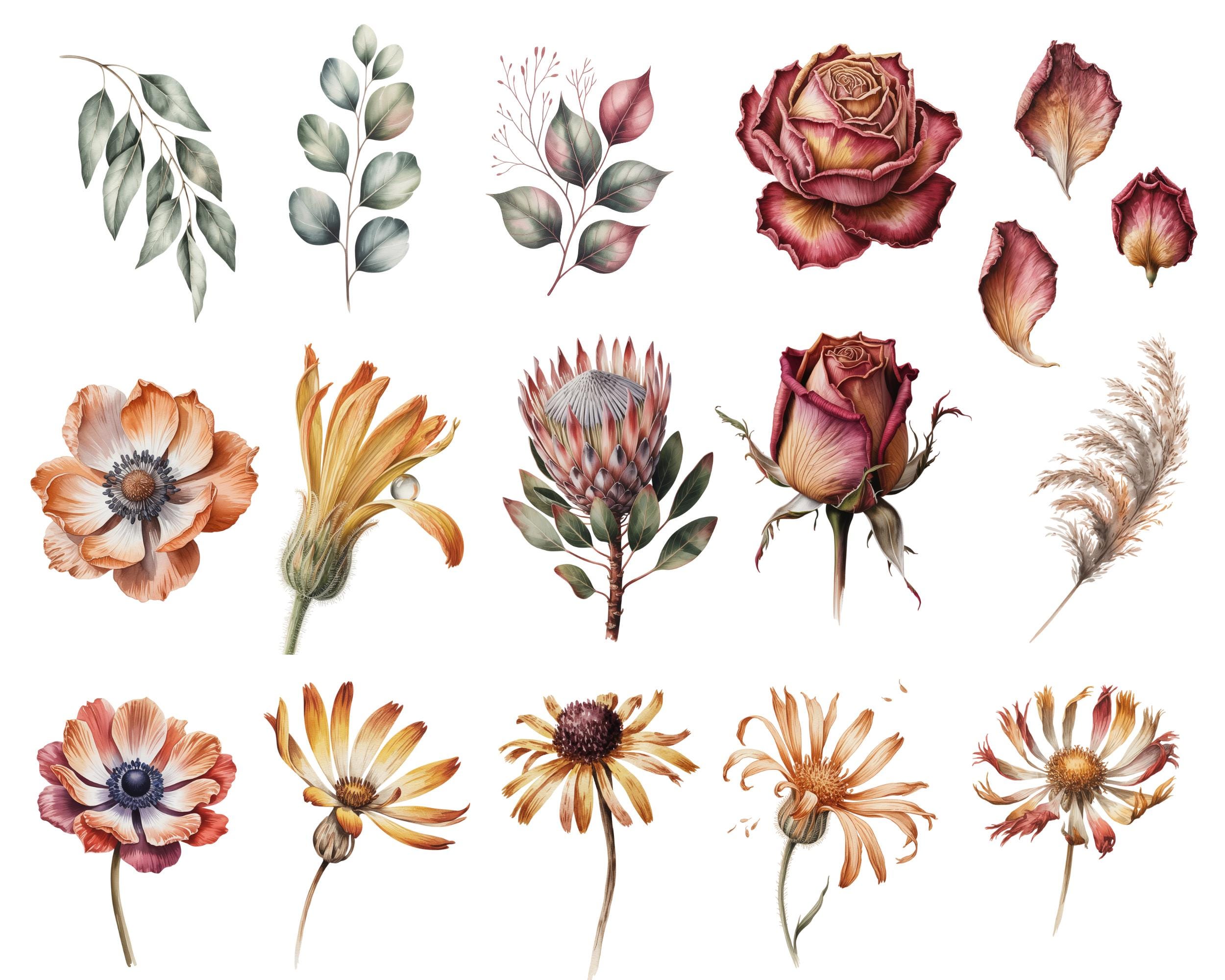 120 Autumn Floral Clipart PNG | Boho Floral Clipart | Wildflowers ...