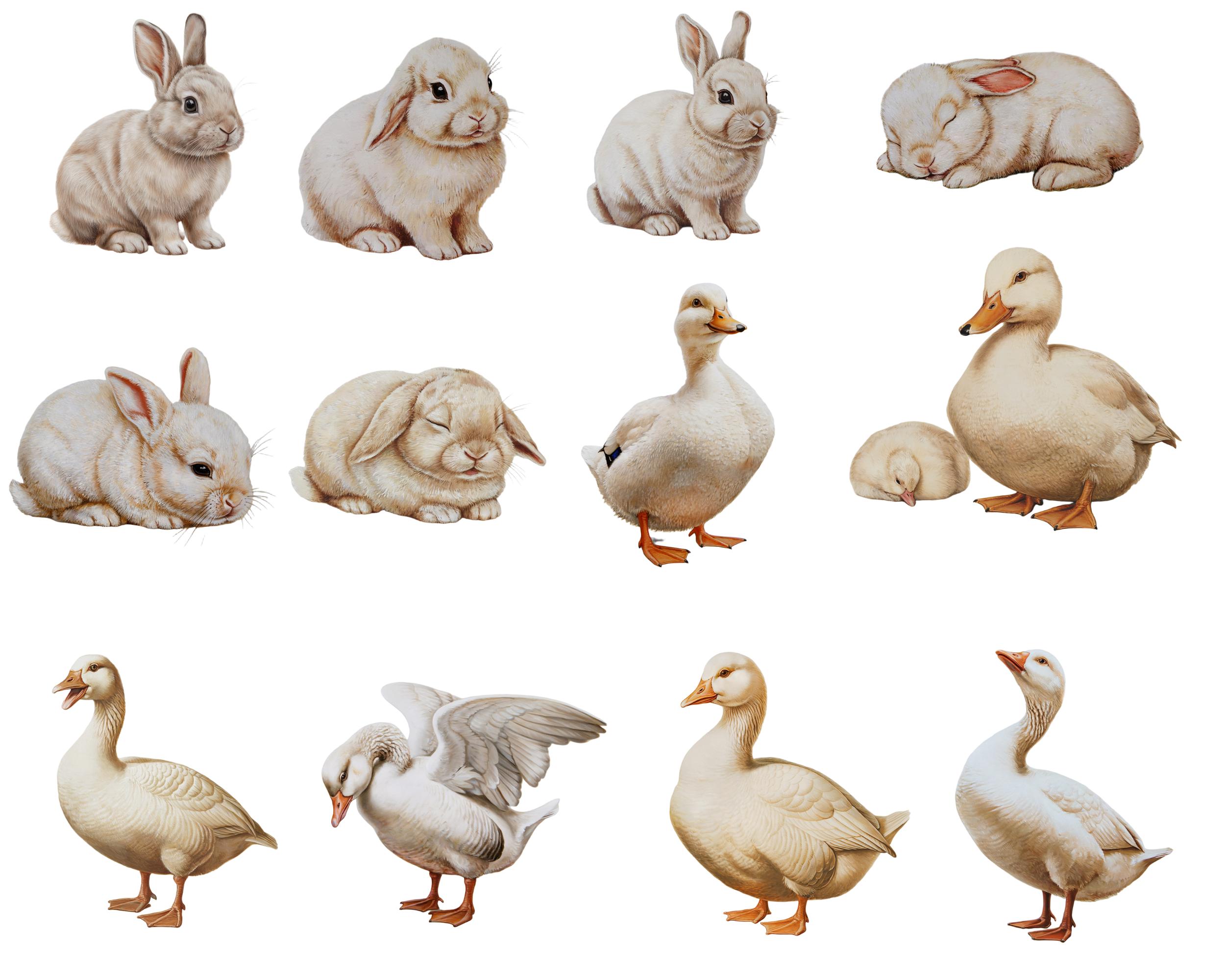 Farm Animal Clipart | 100 X Realistic Farm Animals Bundle | Digital ...