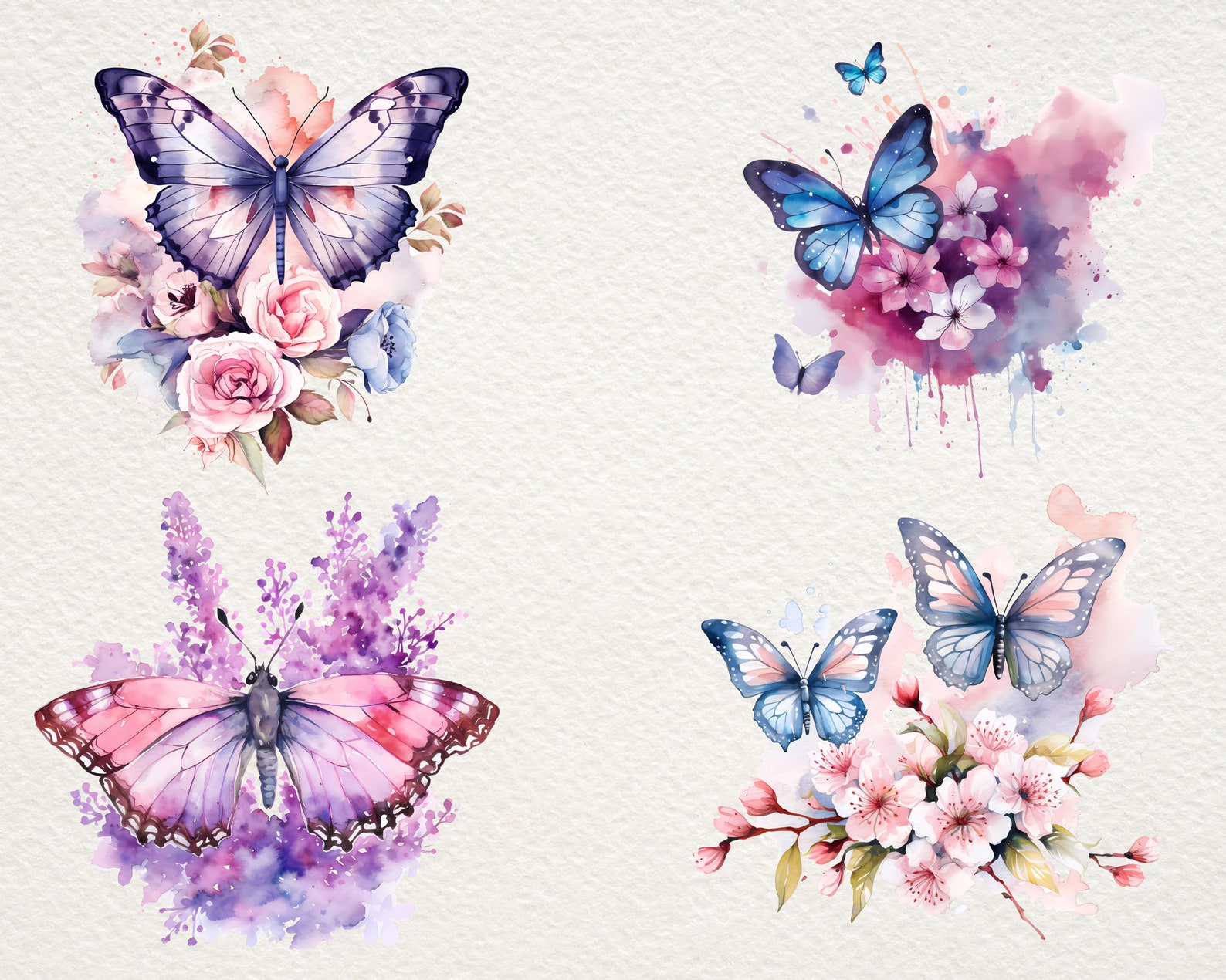 Watercolor Floral Butterfly Clipart 20 High Quality Transparent Png for ...