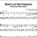 SIMPLIFIED Waltz of the Flowers (from the Nutcracker) | Tchaikovsky ...
