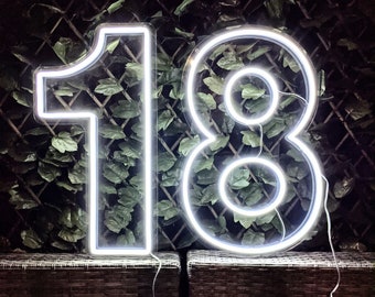 Custom Neon Sign 18 Eighteen Neon Flex Sign Night Lights Personalized ...