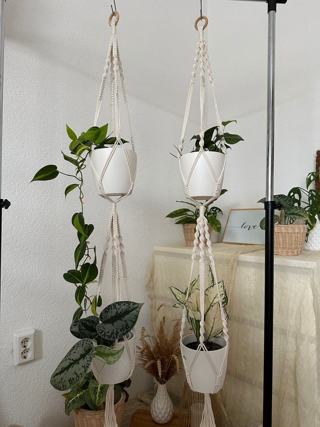 Stilvolle Pflanzen Fur Blumenampel Drauen Bild