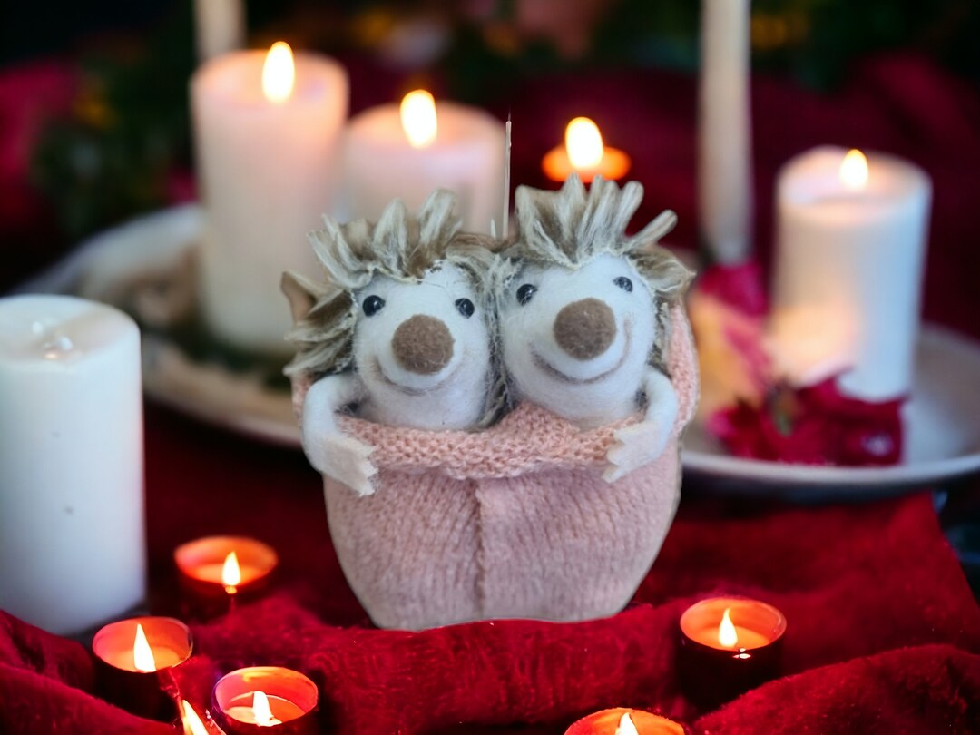 Hedgehogs in a Sleeping Bag by Shoeless Joe / Gift for Valentines Day ...