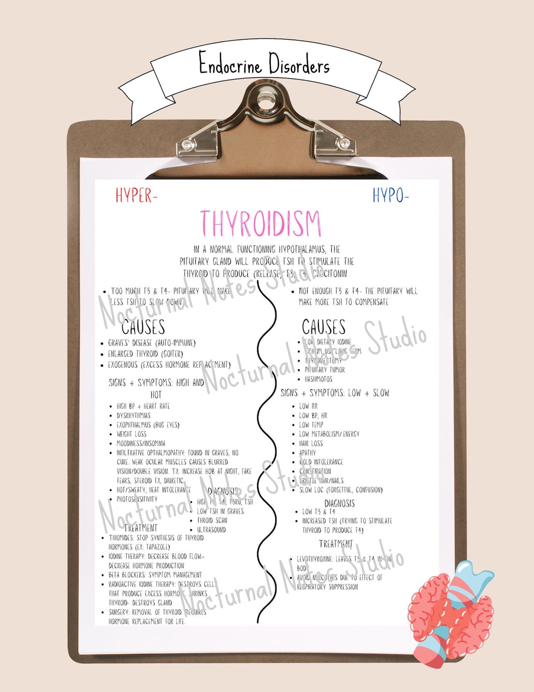 Endocrine Disorders Bundle, Nursing Notes, Nursing Study Sheet, Nursing ...