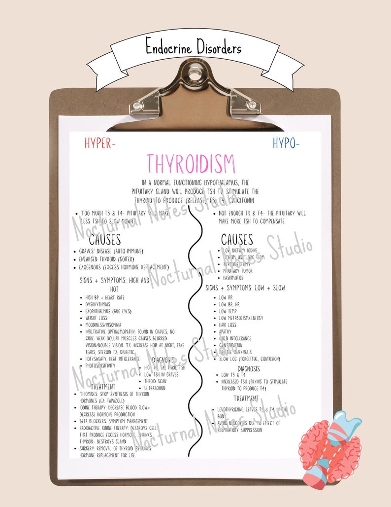 Endocrine Disorders Bundle, Nursing Notes, Nursing Study Sheet, Nursing ...