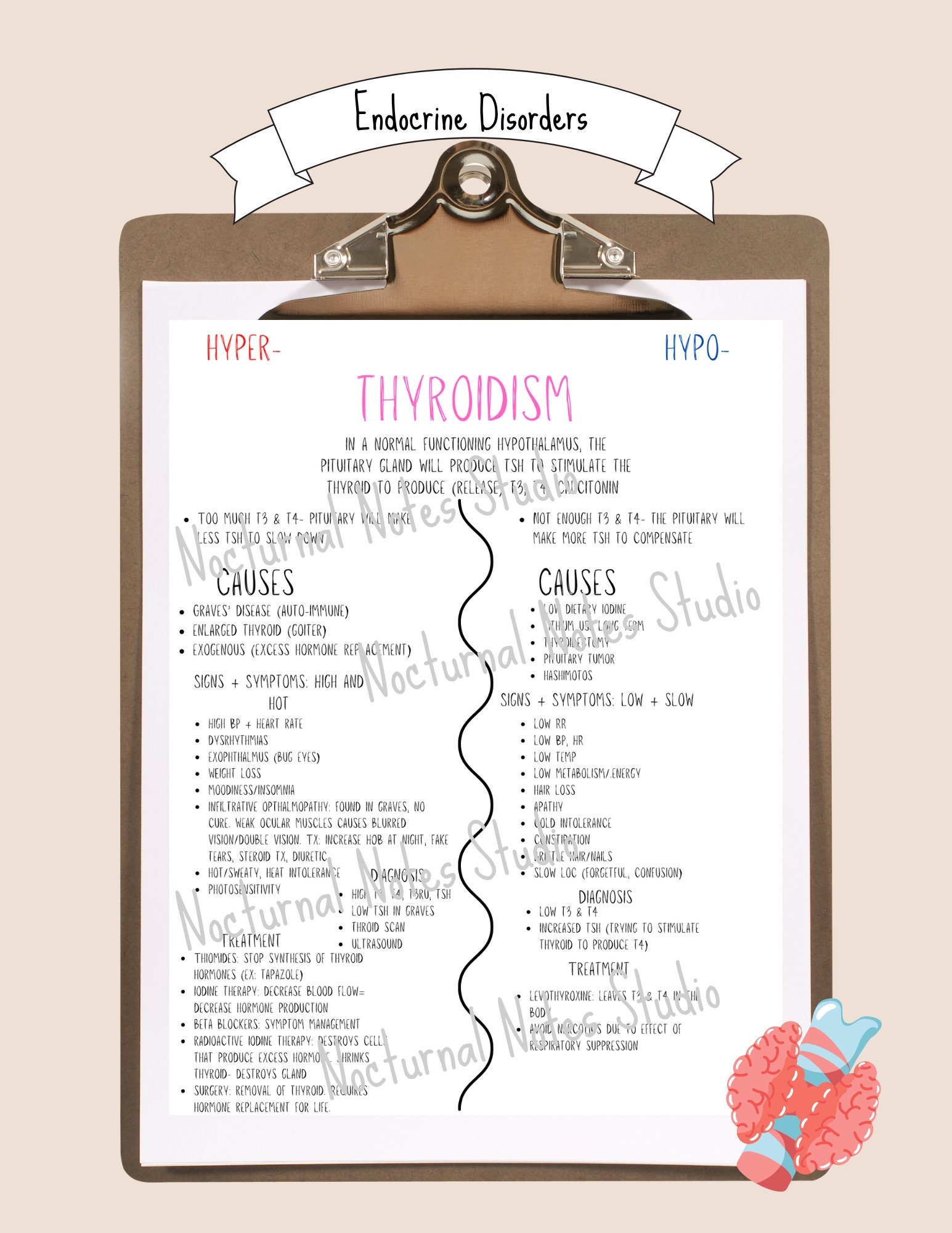 Endocrine Disorders Bundle, Nursing Notes, Nursing Study Sheet, Nursing ...