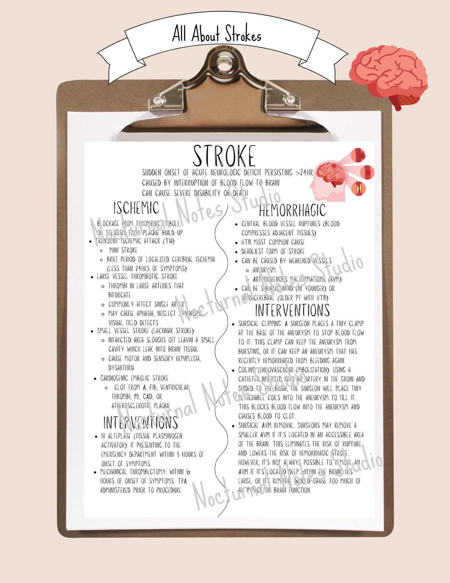 All About Strokes, Nursing Template, Nursing Study Sheet, Anatomy and ...