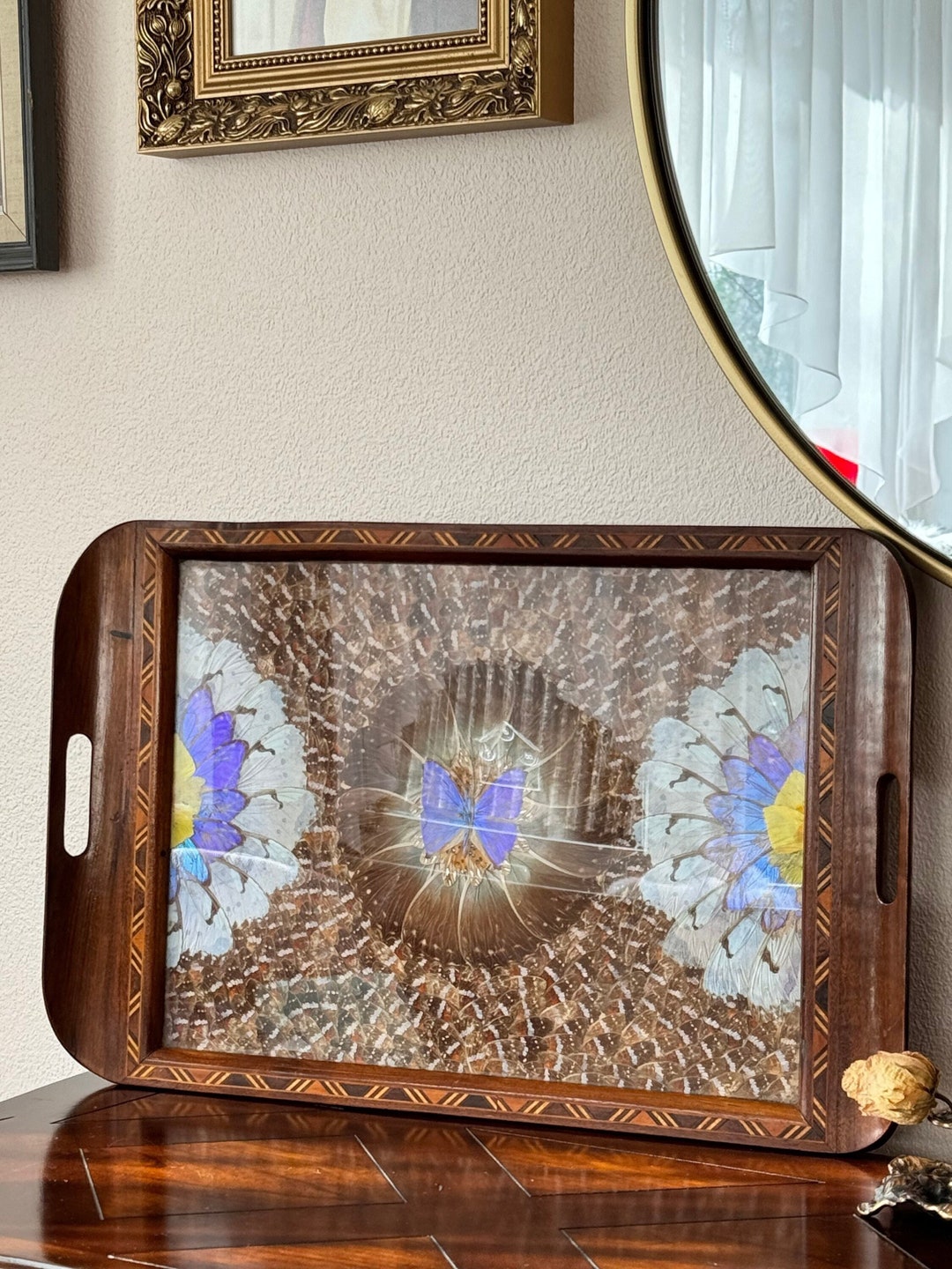Vintage Morpho Butterfly Serving Tray With Glass Top and Inlaid Wooden ...